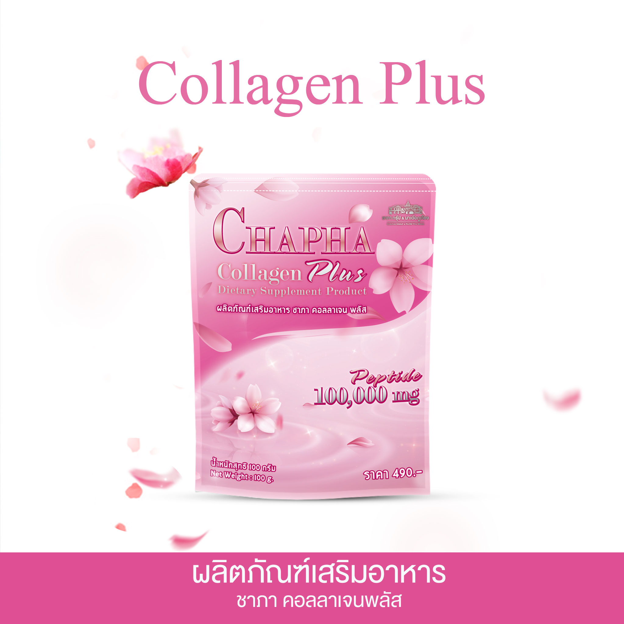 บริษัท ชาภา กรุ๊ป แอนด์ มาเด้อ ภูเวียง จำกัด